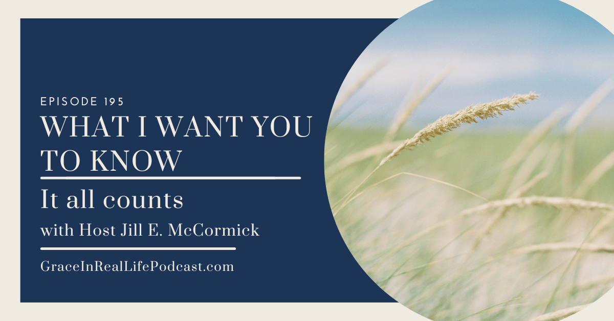 #195: What I Want You To Know: It all counts - jillemccormick.com
